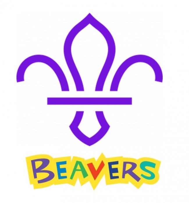 WELCOME TO THE ADVENTURE OF SCOUTING